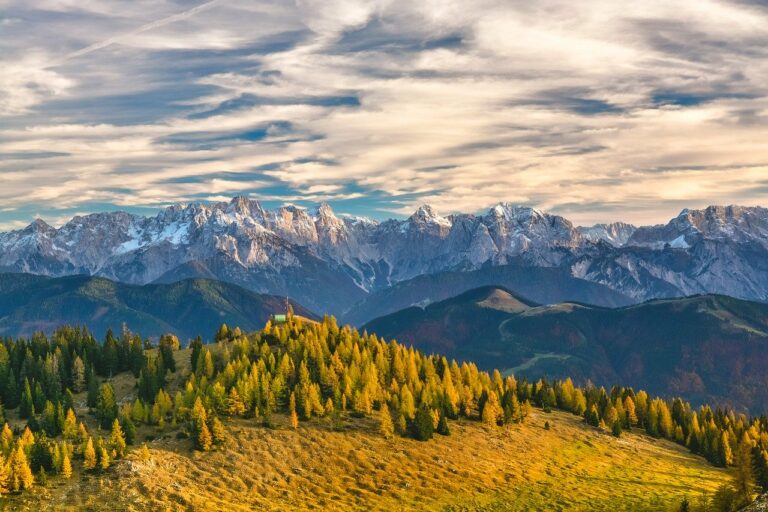 Climate Change Causes Critical Transitions and Irreversible Alterations ...